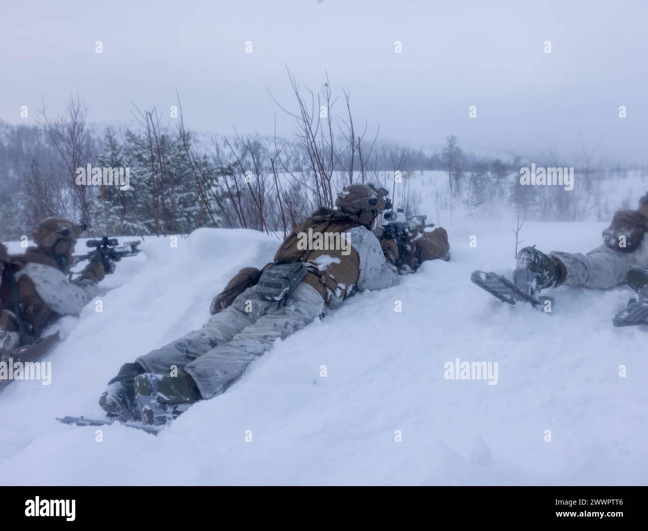 U.S. Marines with Bravo Company, 1st Battalion, 2nd Marine Regiment ...