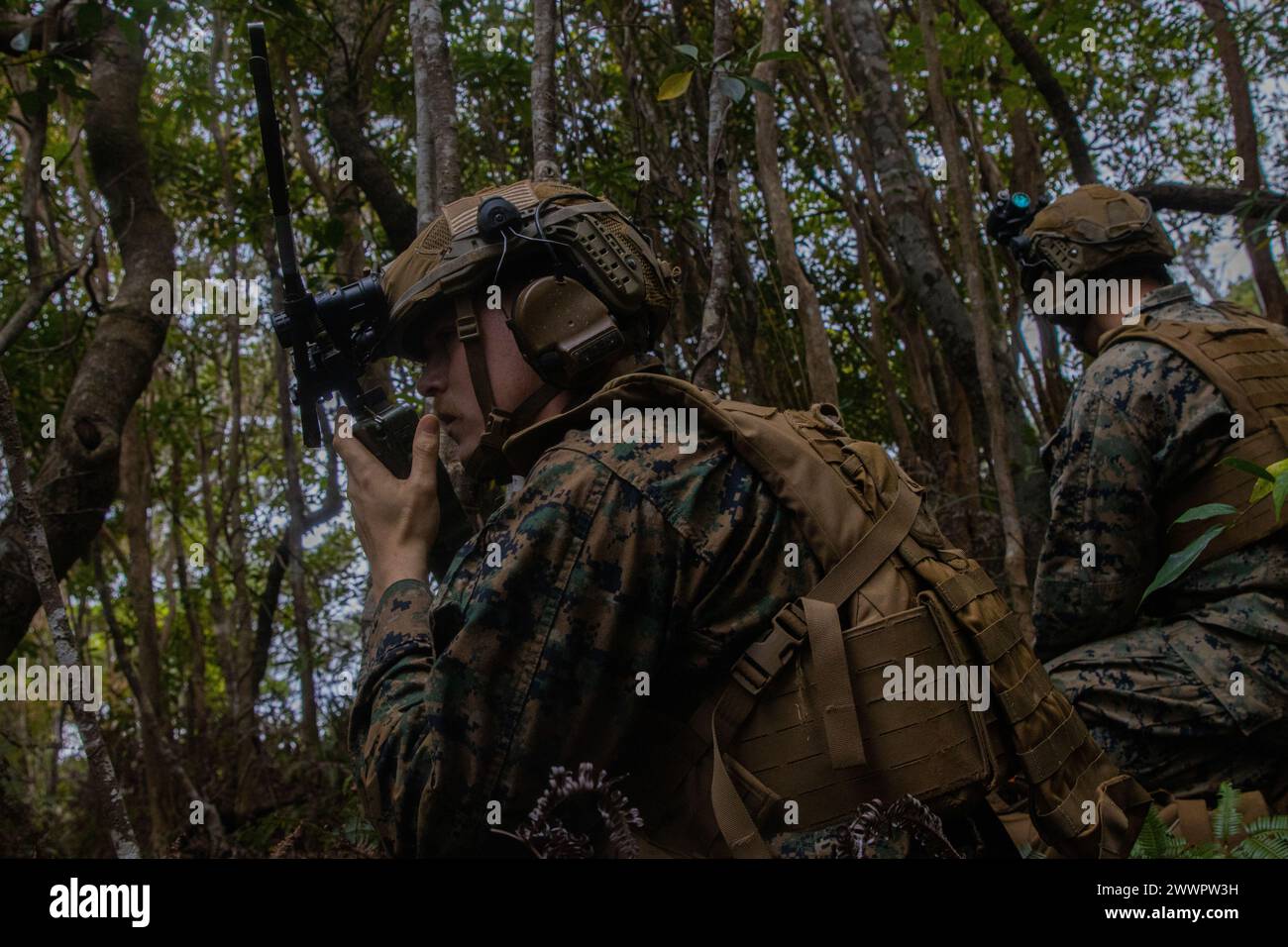 A U.S. Marine with Battalion Landing Team 1/1, 31st Marine ...