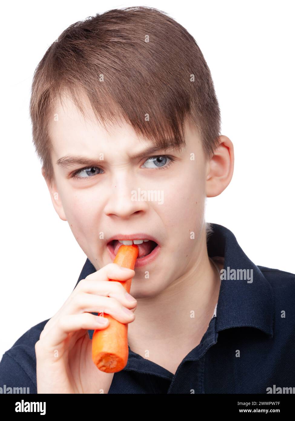 A young boy wearing blue polo shirt grimaces as he bites a carrot ...