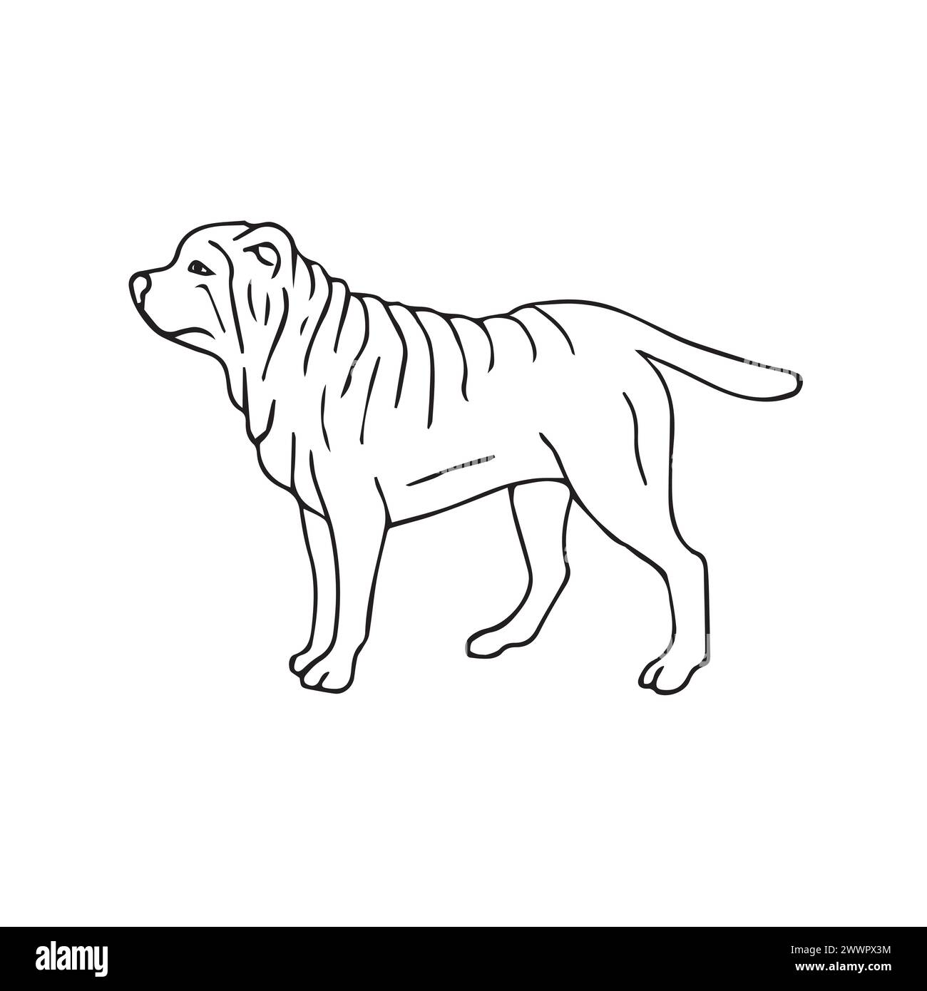 Vector hand drawn doodle sketch Shar Pei dog isolated on white ...
