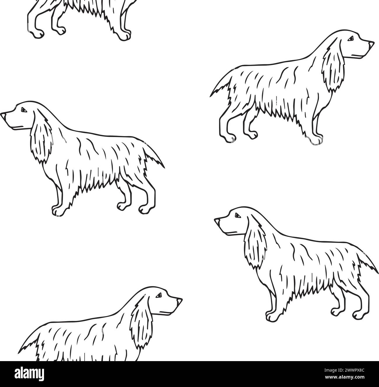 Vector seamless pattern of hand drawn doodle sketch spaniel dog ...