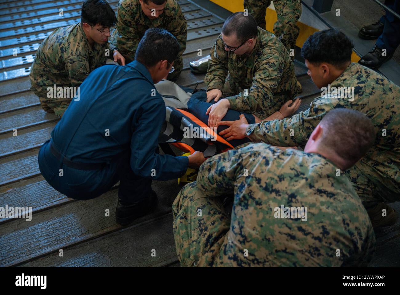 U.S. Marines and a Sailor assigned to the amphibious transport dock USS ...