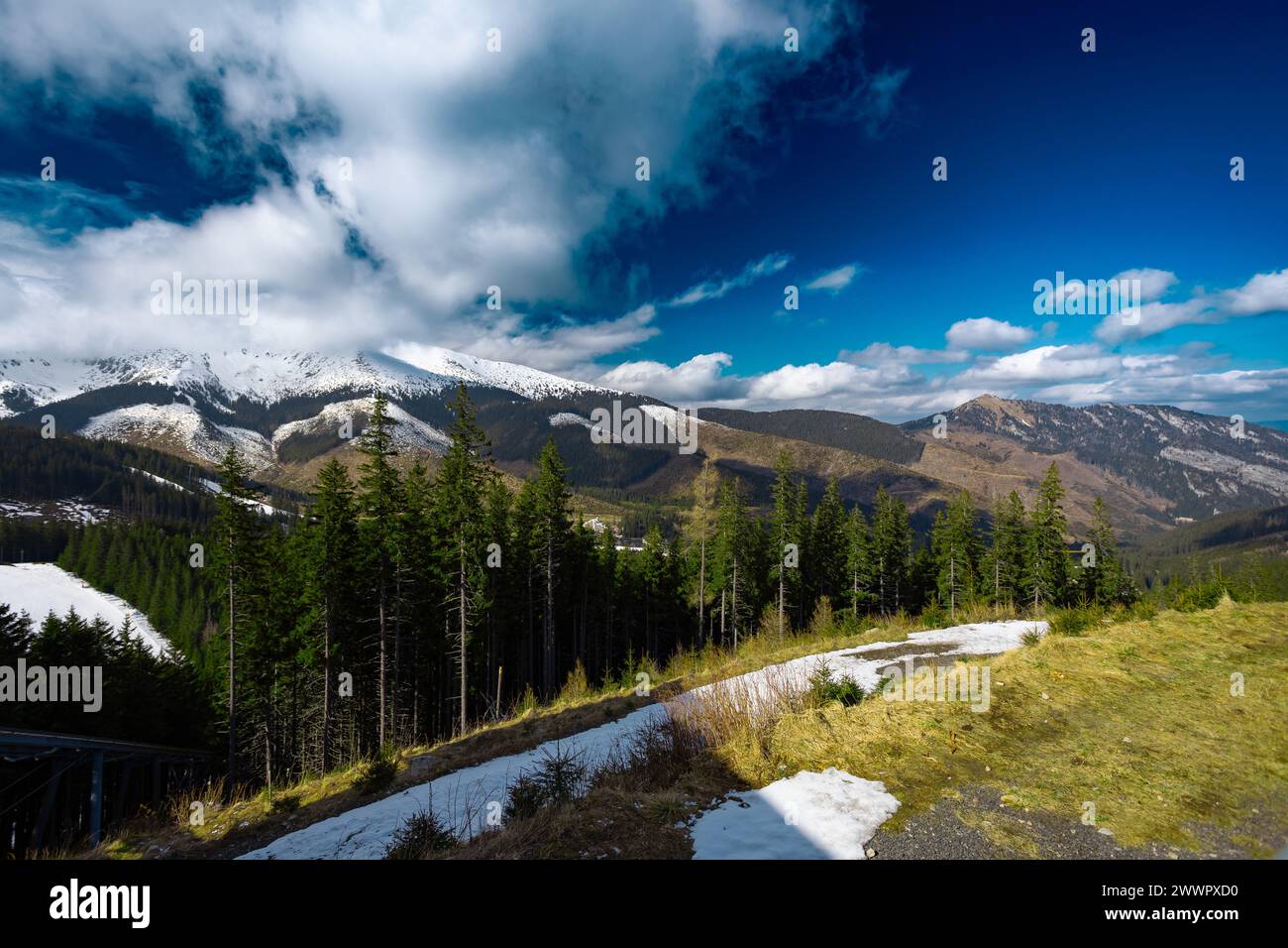 jasna Slovakia spring landscape for background Stock Photo - Alamy