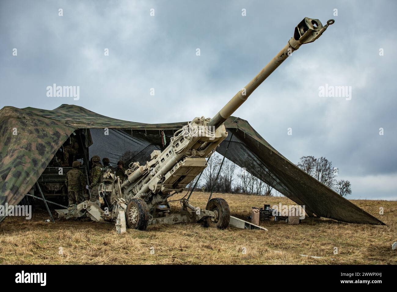 U.S. Soldiers, assigned to the 2nd Cavalry Regiment, 3rd Squadron ...