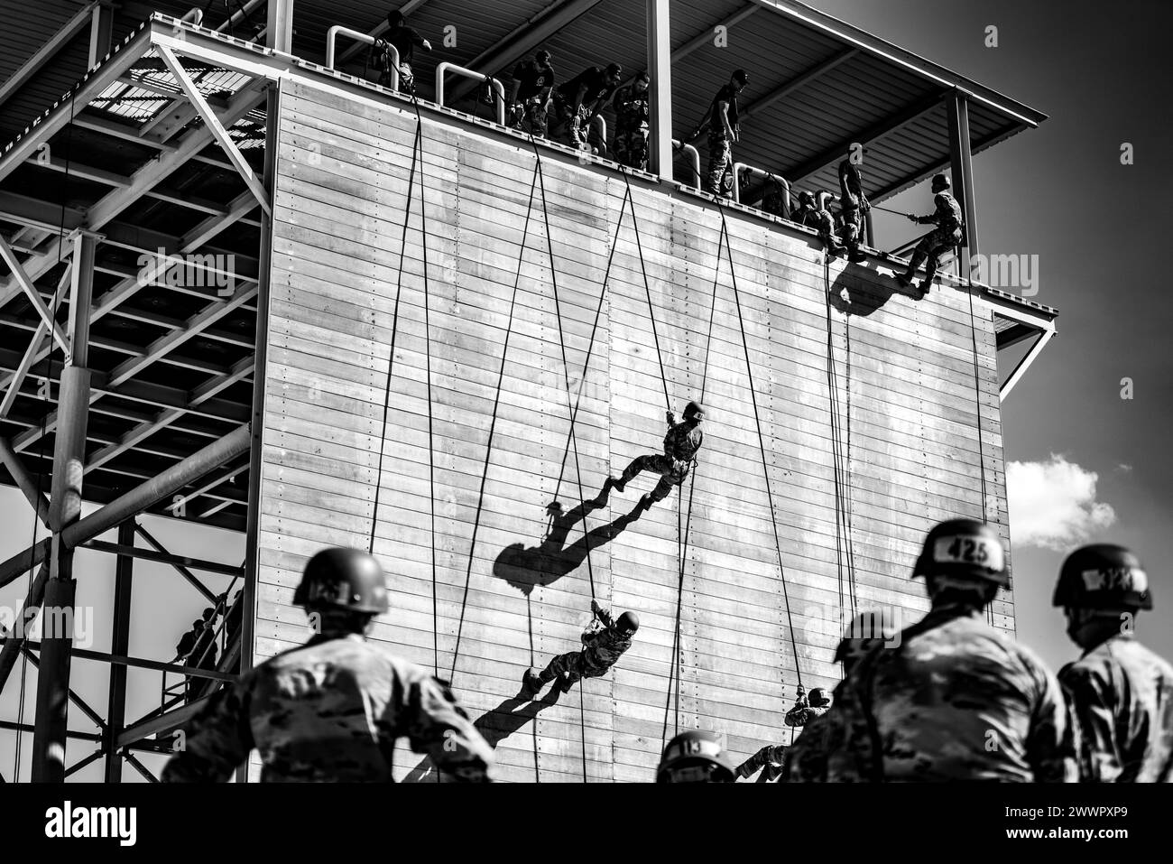Air Assault candidates rappel off the rappel towers on Camp Buehring ...