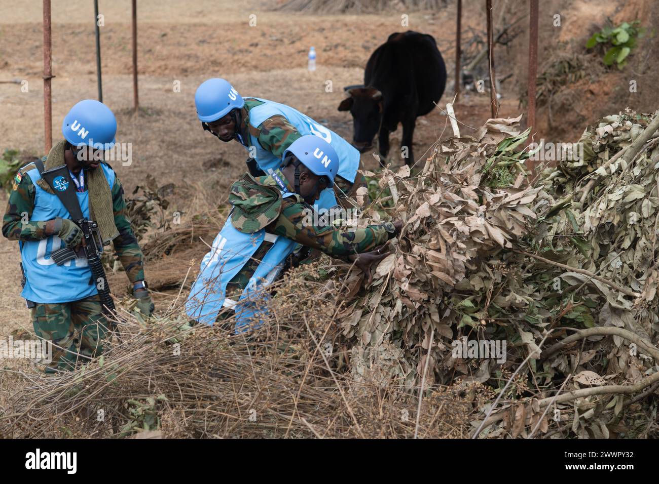 Soldiers with the Ghana Army conduct the Cordon and Search field ...