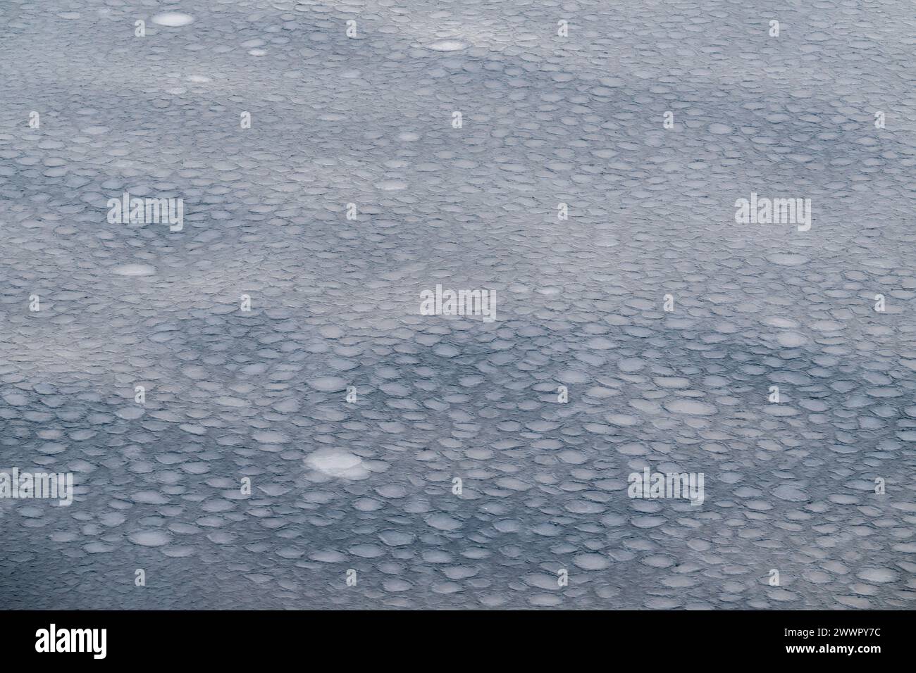 Antarctica, Victoria Land, Ross Sea in Ross Ice Shelf area. Pancake ice ...
