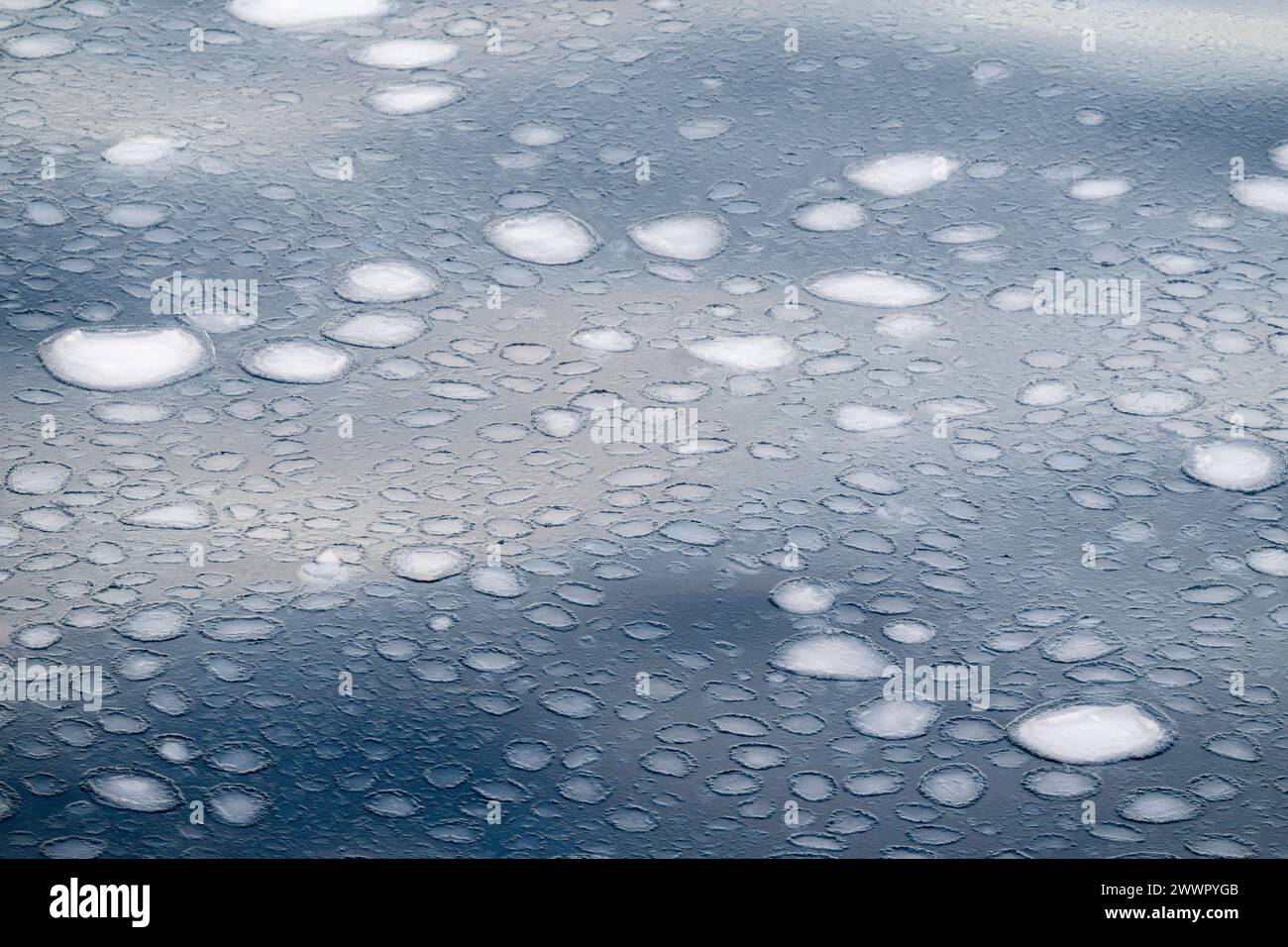 Antarctica, Victoria Land, Ross Sea in Ross Ice Shelf area. Pancake ice ...