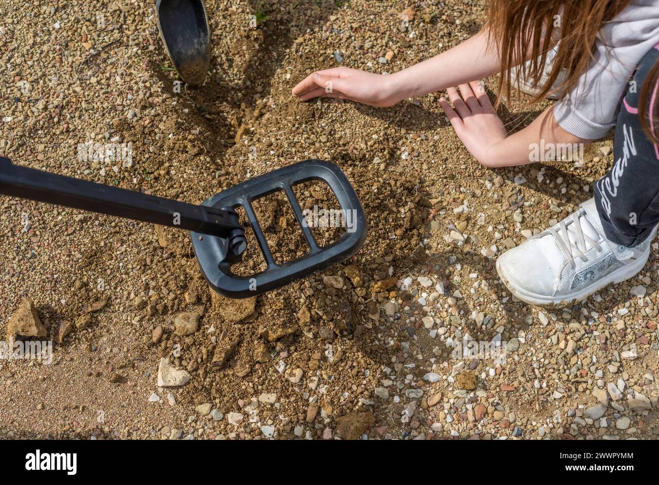 The kid treasure hunters metal detecting and digging the ground Stock ...