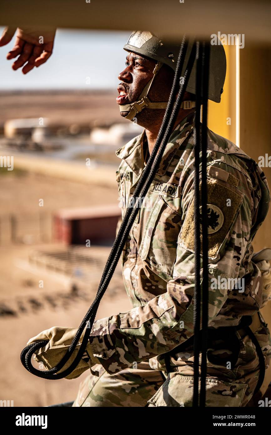Air Assault candidates rappel off the rappel towers on Camp Buehring ...
