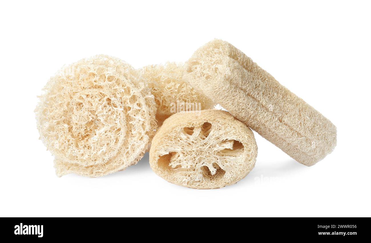 White loofah hi-res stock photography and images - Alamy
