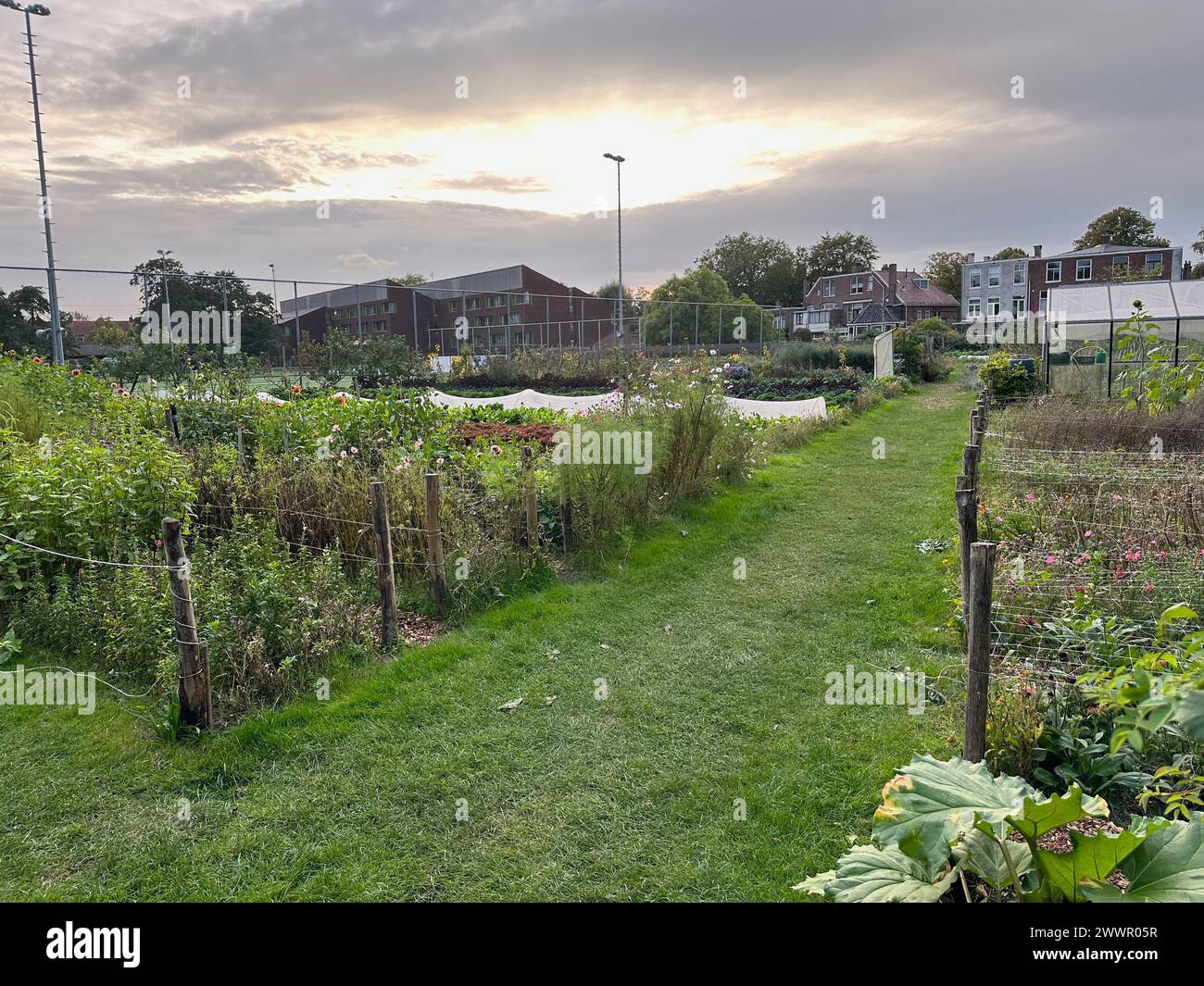 Beautiful building different green plants hi-res stock photography and ...