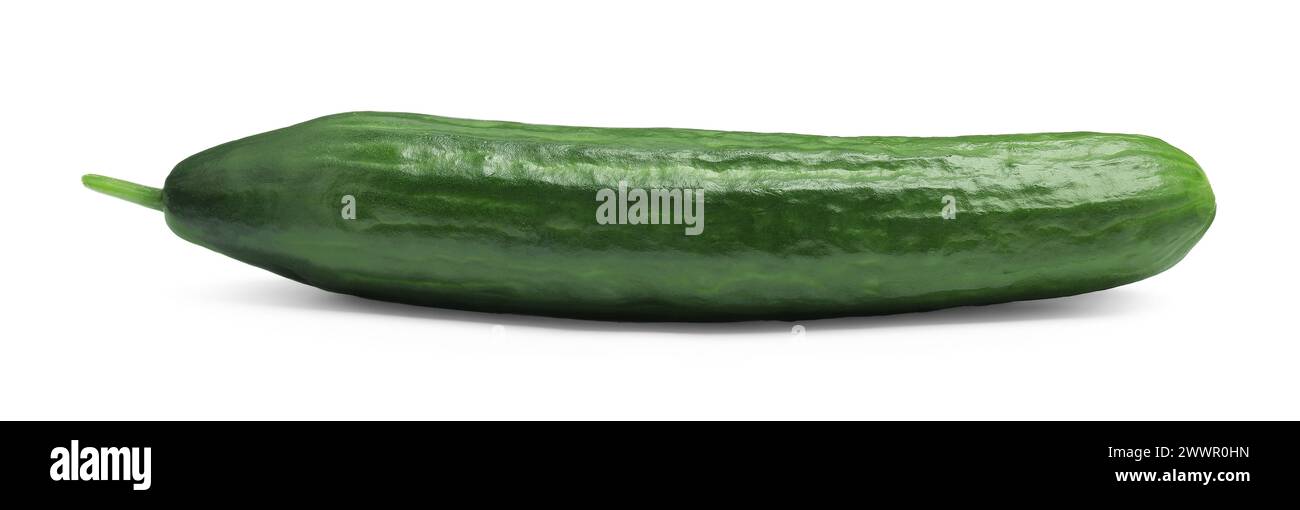 One long fresh cucumber isolated on white Stock Photo - Alamy