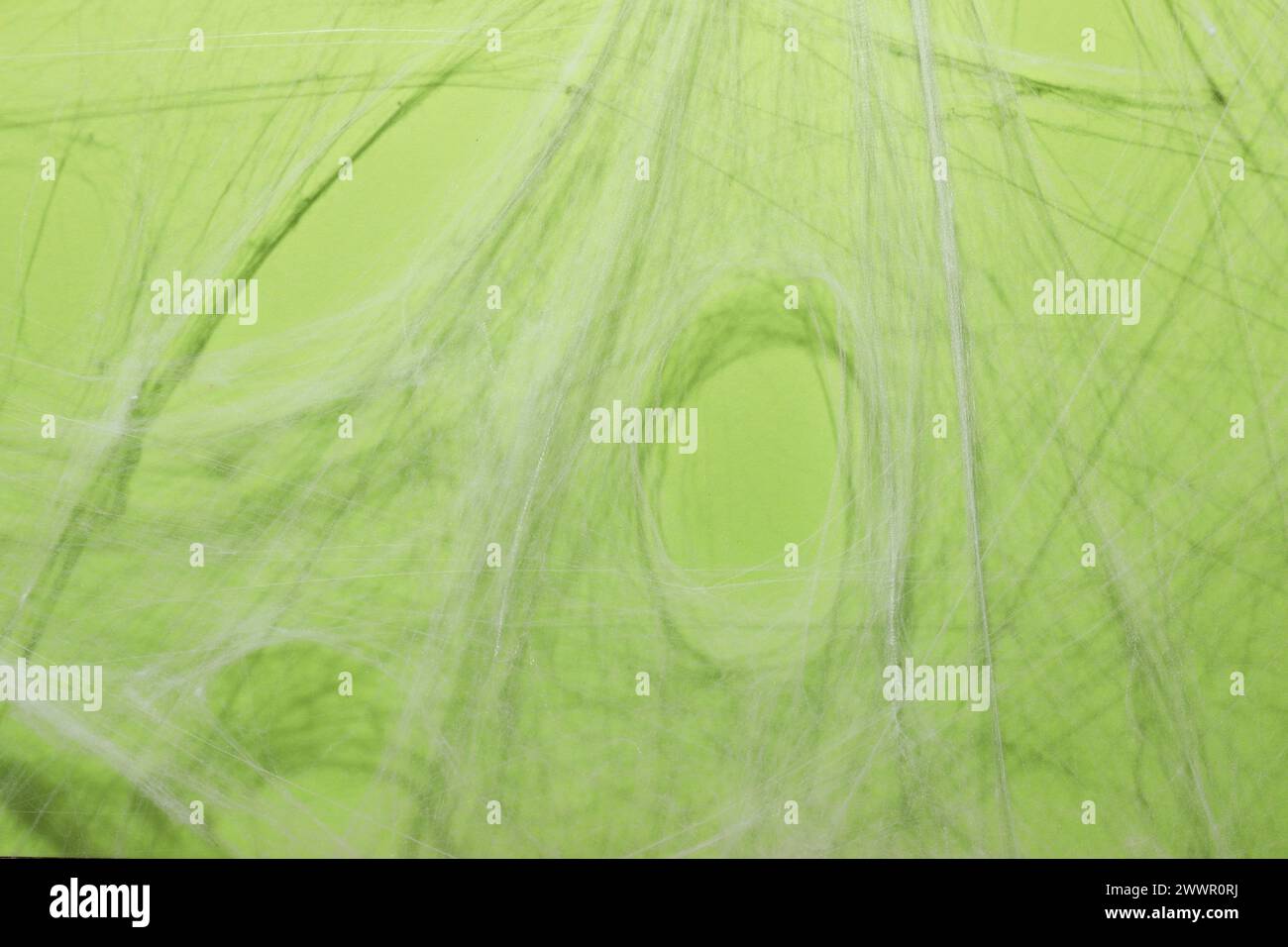 Creepy white cobweb hanging on green background Stock Photo - Alamy