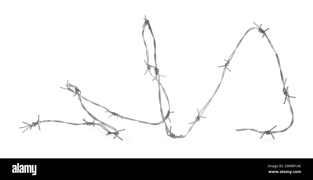 Shiny metal barbed wire isolated on white Stock Photo - Alamy