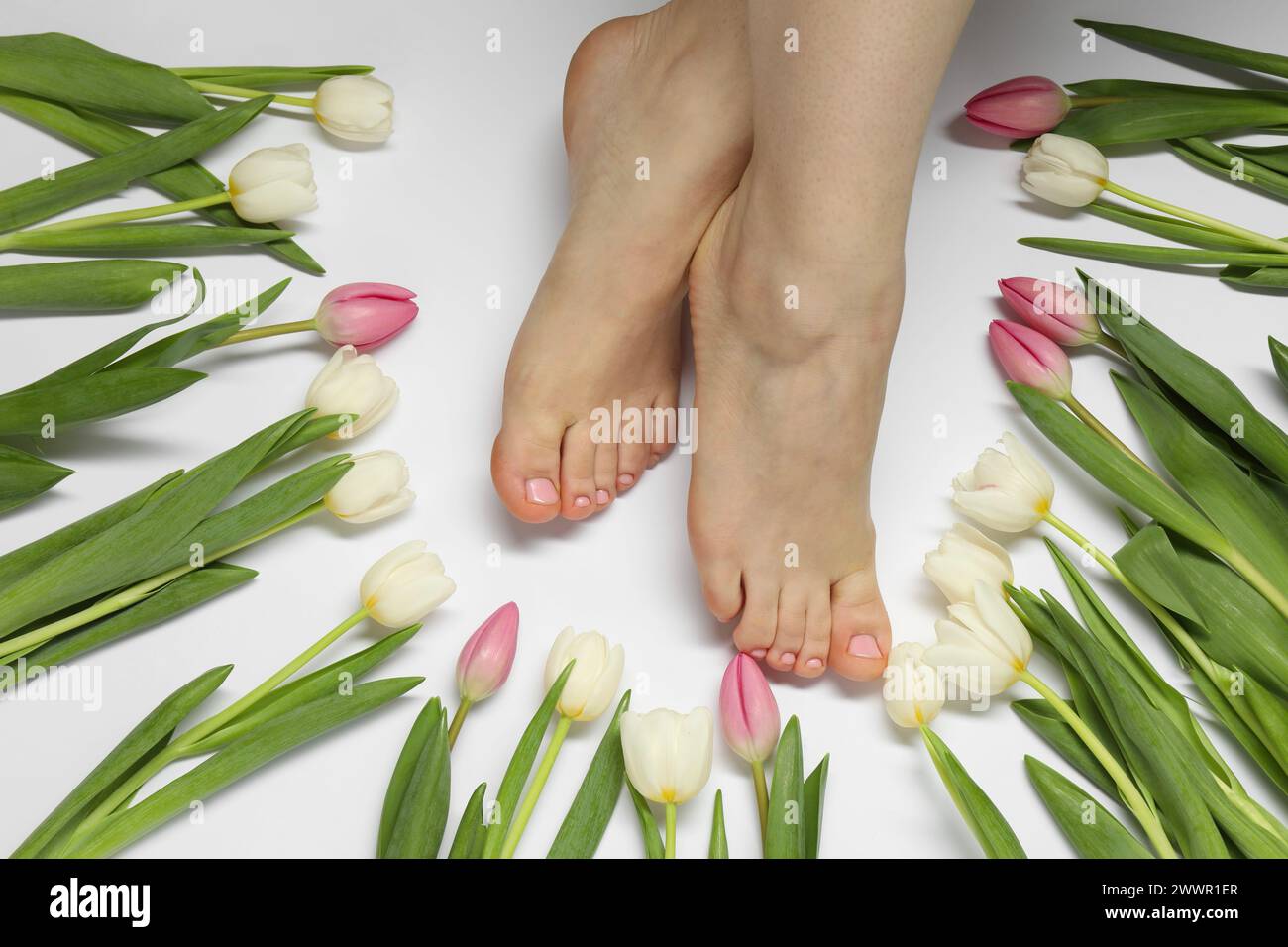 Woman with neat toenails after pedicure procedure on light background ...