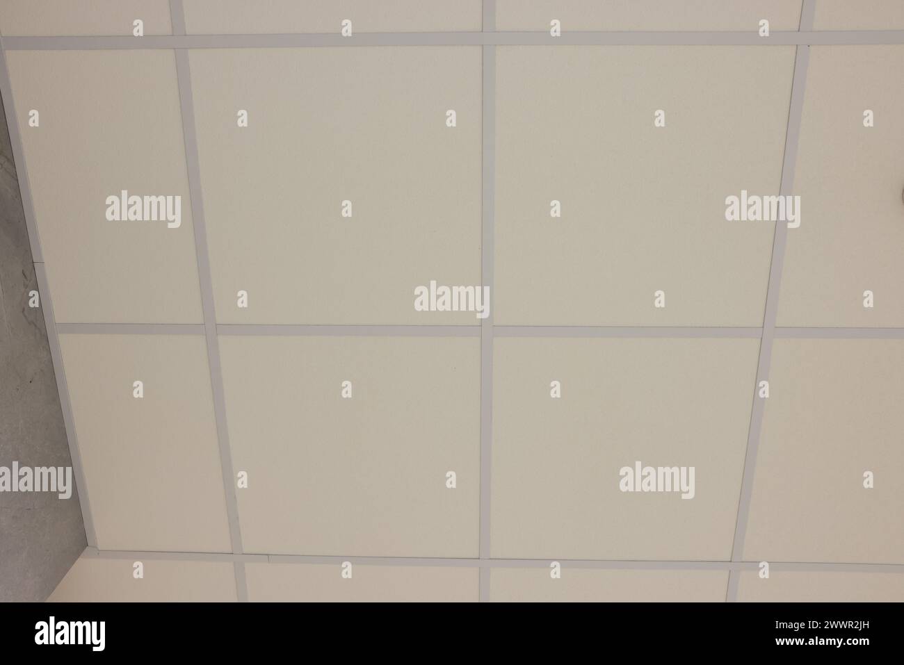 White ceiling with PVC tiles, view from below Stock Photo - Alamy