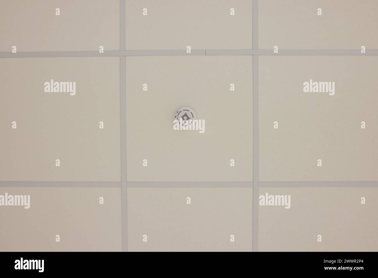 White ceiling with PVC tiles, view from below Stock Photo - Alamy