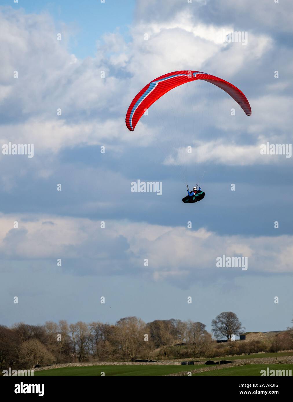 Paraglider coming in to land on farmland near Hawes in the Yorkshire ...
