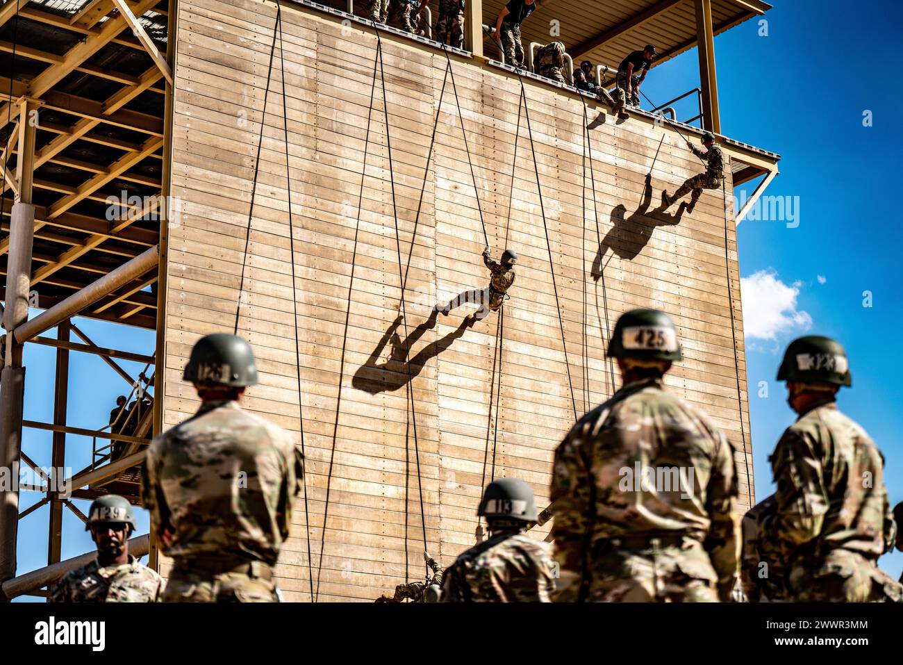 Air Assault candidates rappel off the rappel towers on Camp Buehring ...