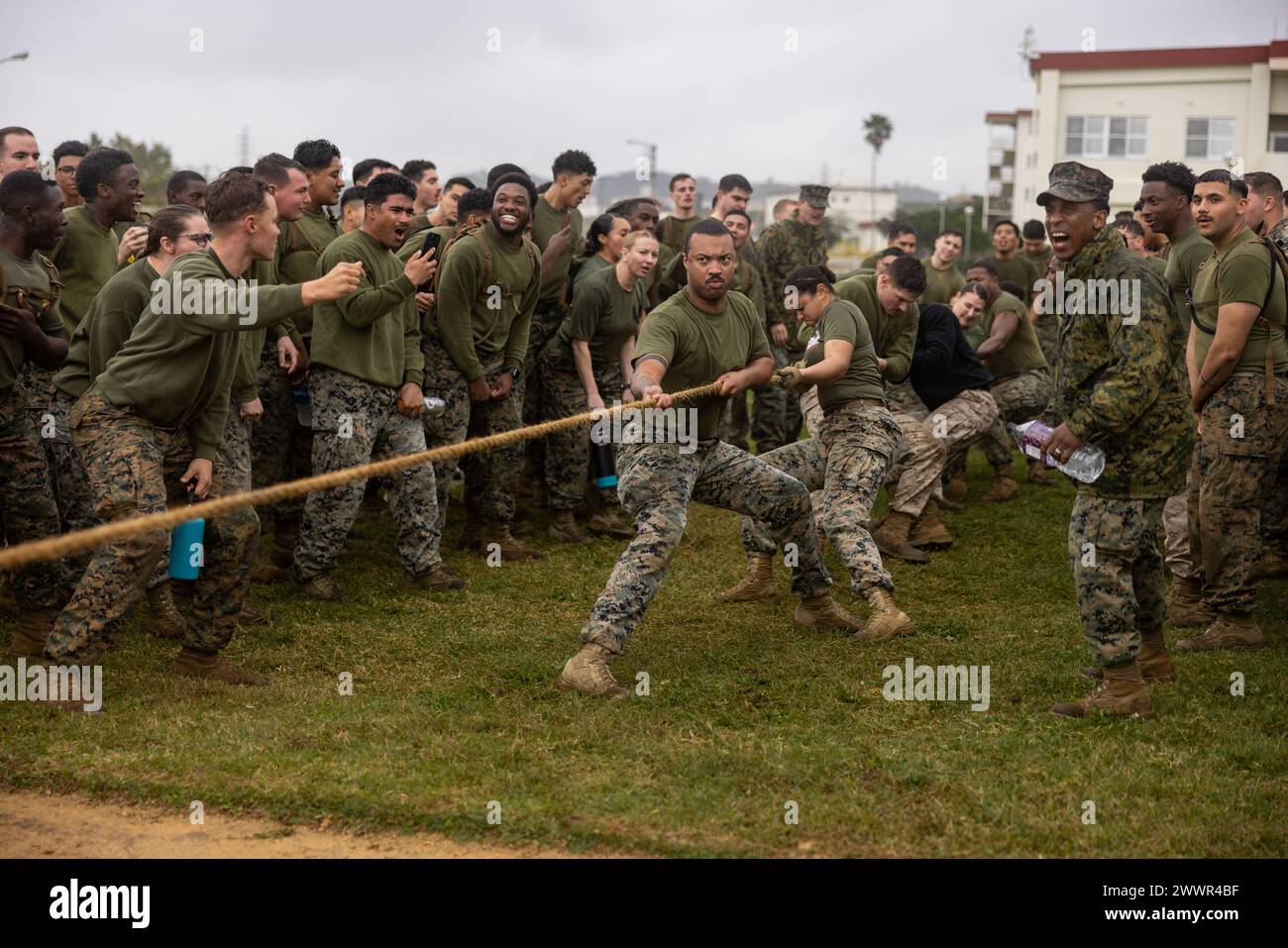 U.S. Marines with Marine Wing Support Squadron (MWSS) 172 participate ...