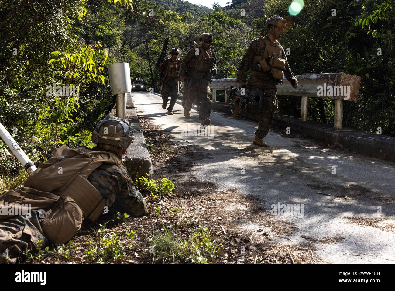 Ambush tactics hi-res stock photography and images - Alamy