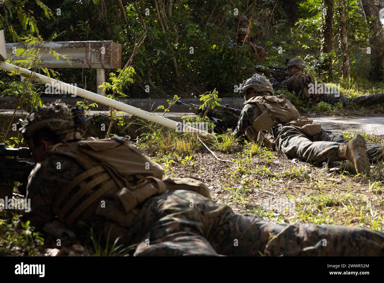 U.S. Marines prepare for an ambush during bridge demolition training at ...