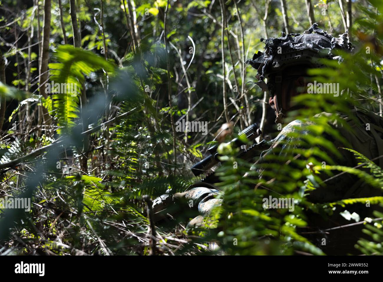 Ambush tactics hi-res stock photography and images - Alamy