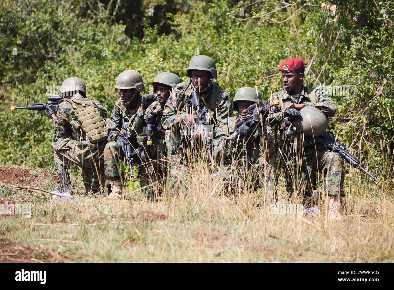 Members of the Djiboutian Bataillon d'intervention rapide (BIR) conduct ...