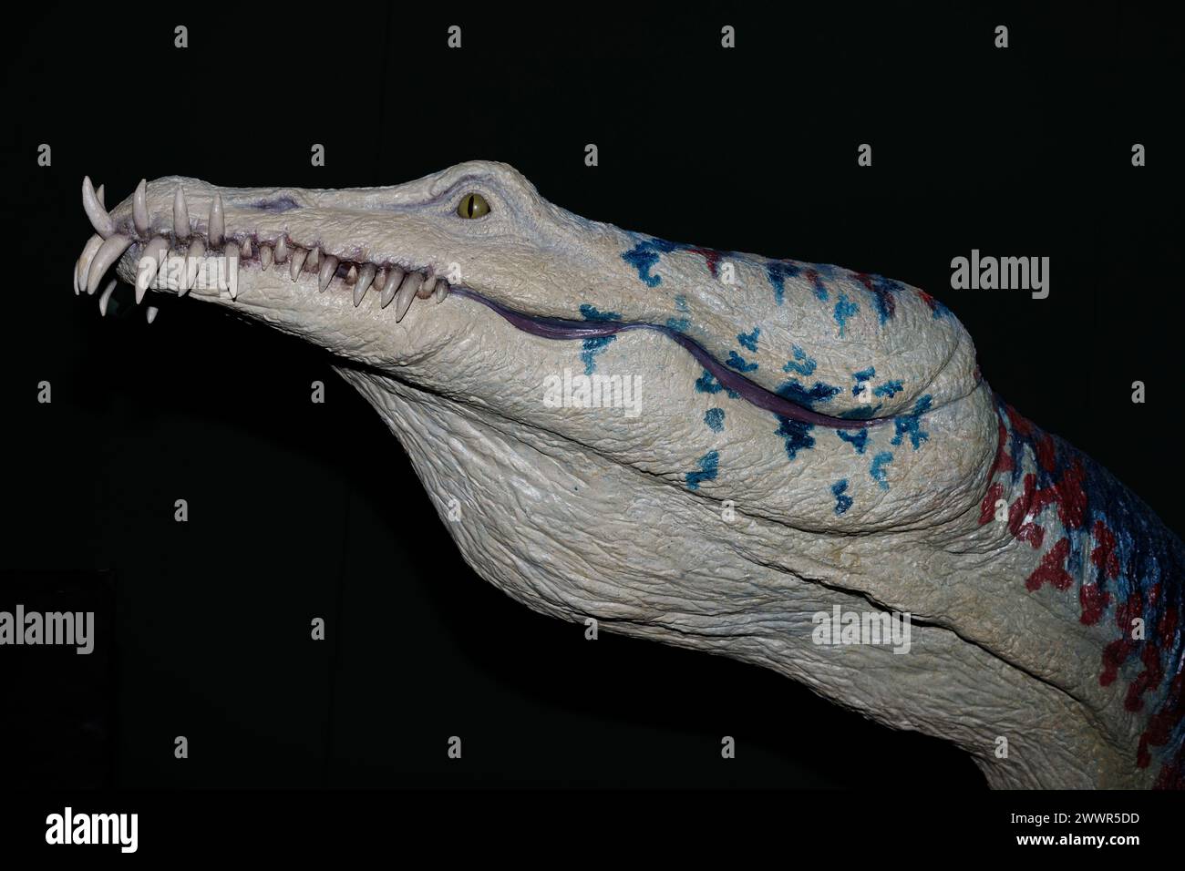 240 210 million years ago hi-res stock photography and images - Alamy