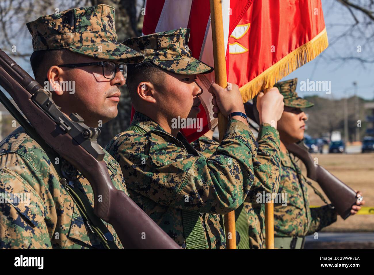 A U.S. Marine Corps color guard with 10th Marine Regiment, 2d Marine ...
