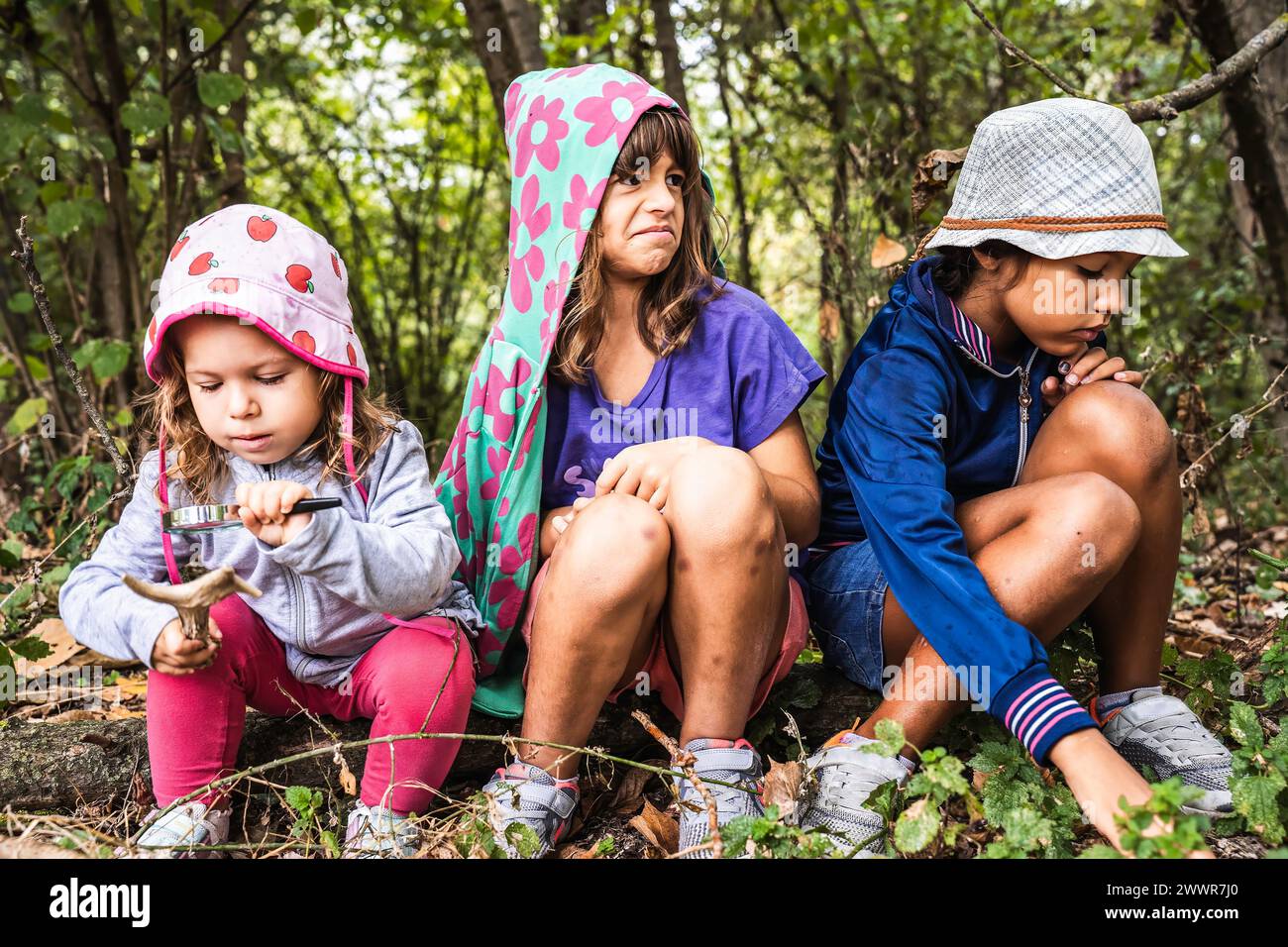 Adventurer little girls in casual clothes camping in the wild forest ...
