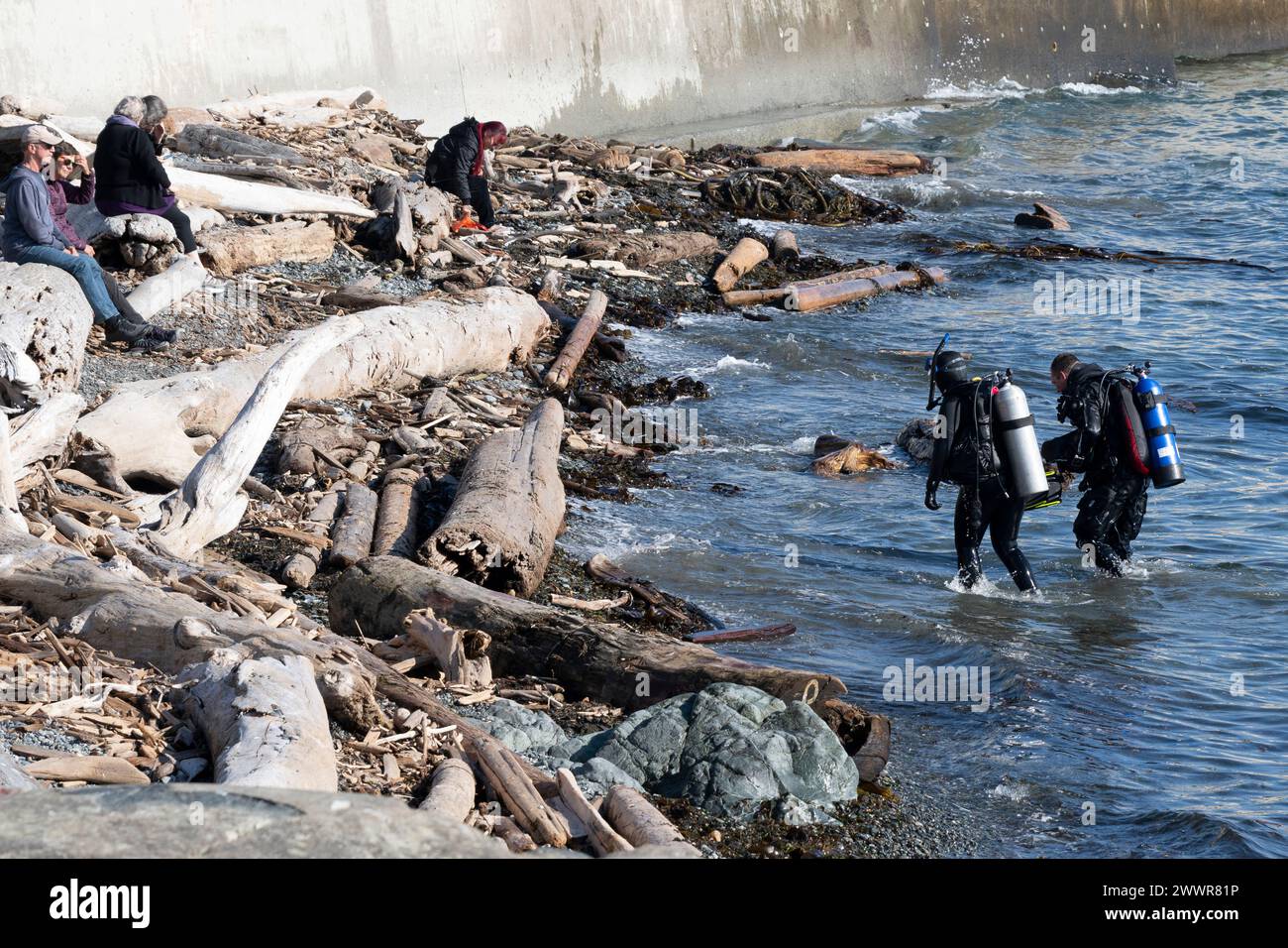 Scuba Divers walking out of the ocean at Ogden Point that is a deep ...