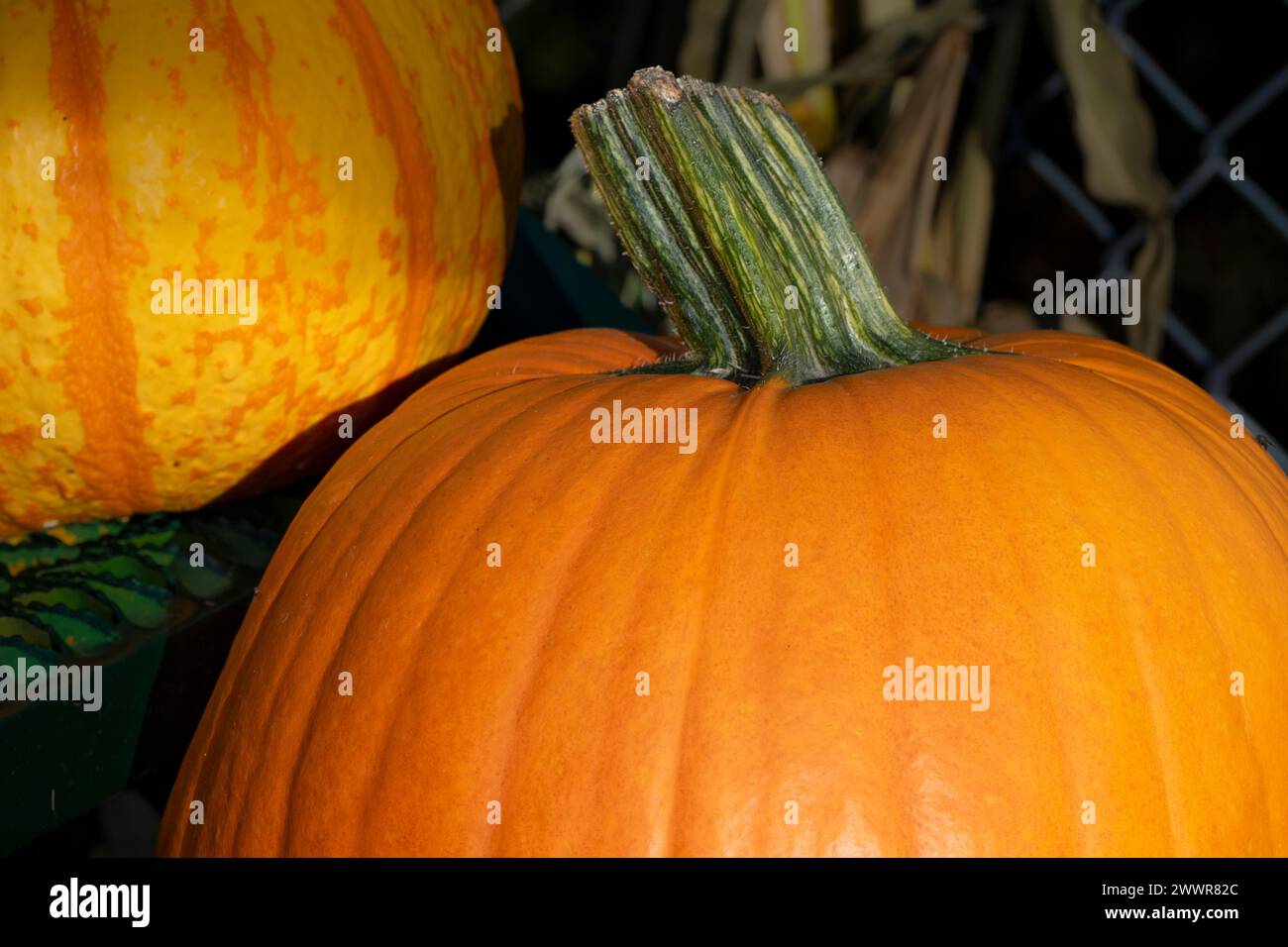 Bickford farms hi-res stock photography and images - Alamy