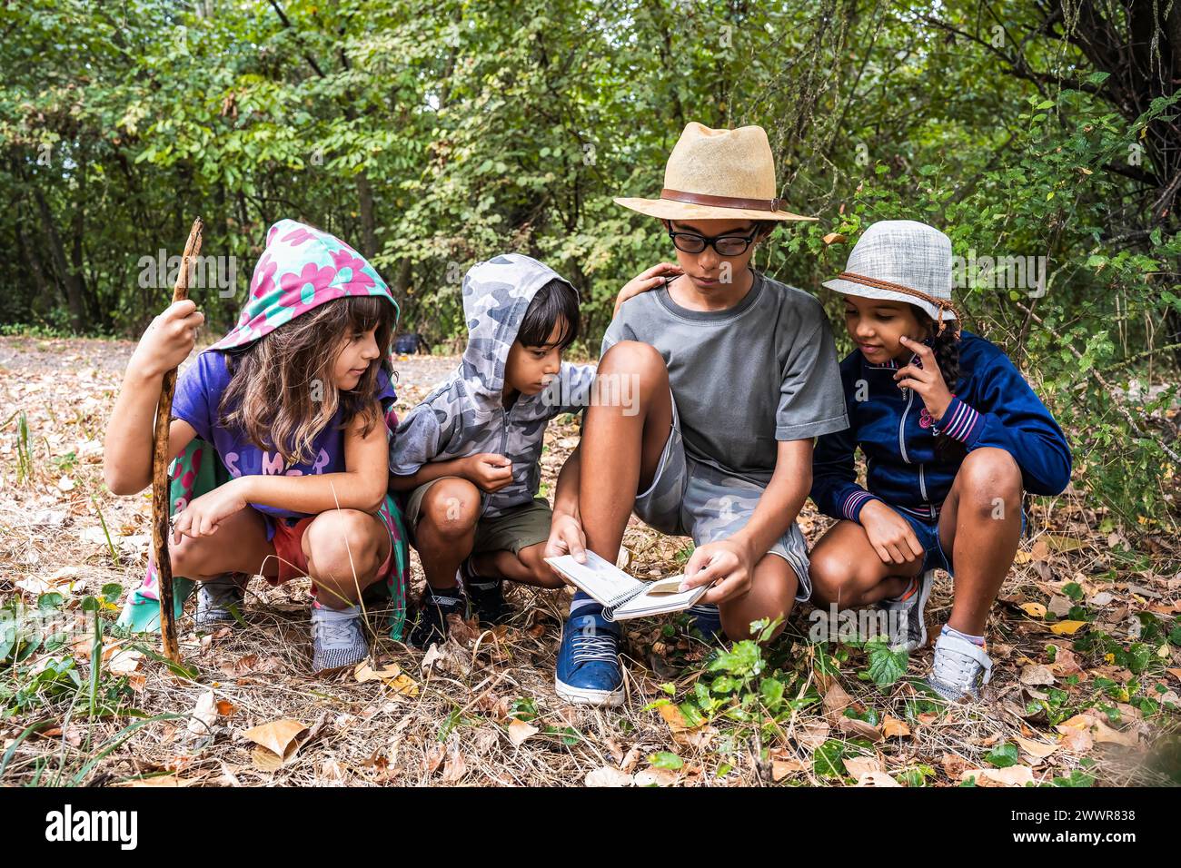Summer literacy adventure hi-res stock photography and images - Alamy