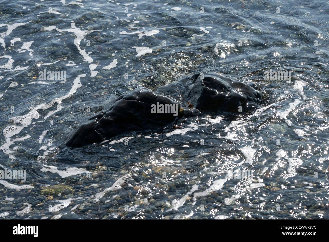 Rock boulder showing through the ocean surface, Sooke Bay, Vancouver ...