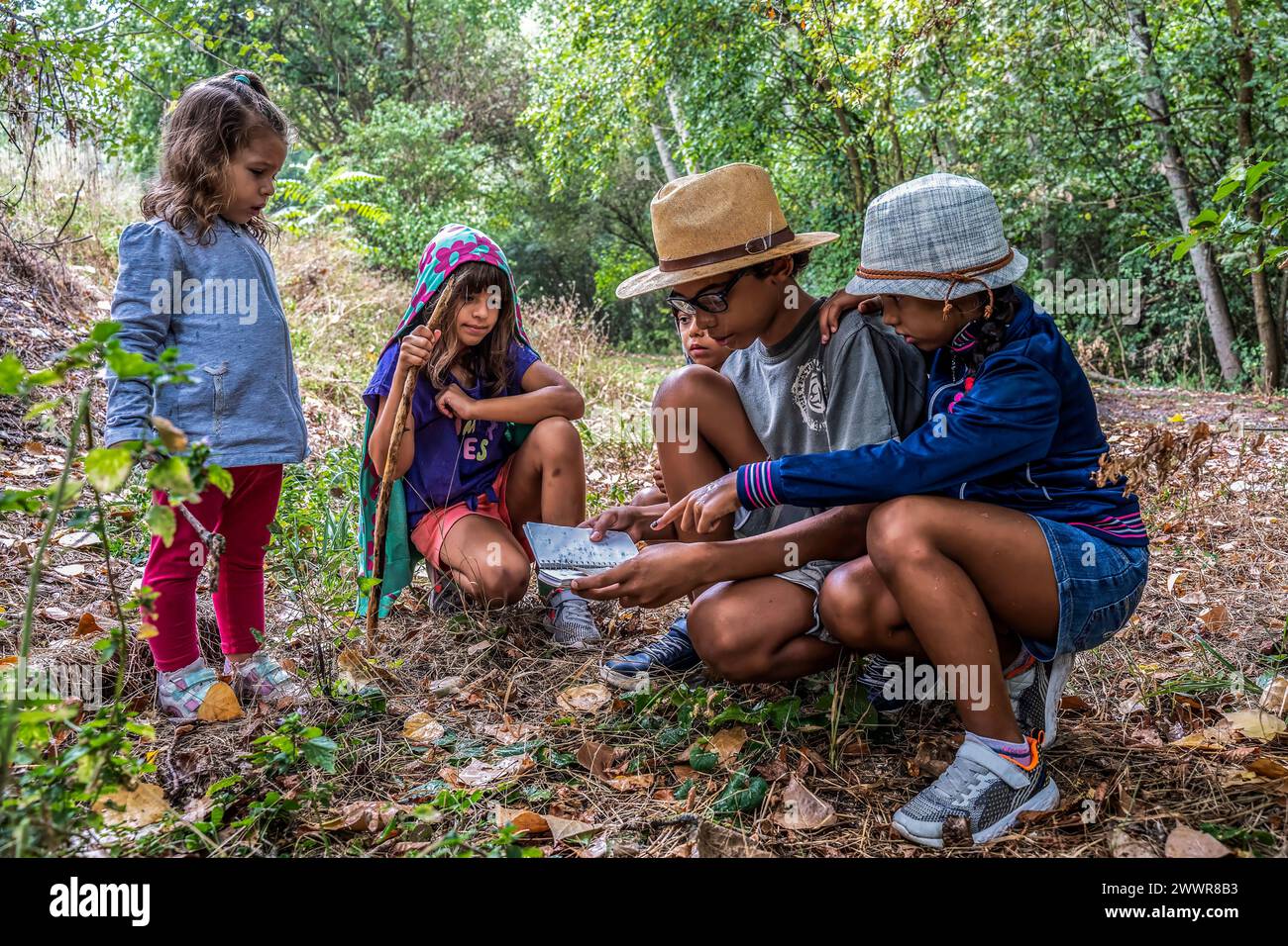 Young explorers on a forest adventure, learning and fun merge in ...