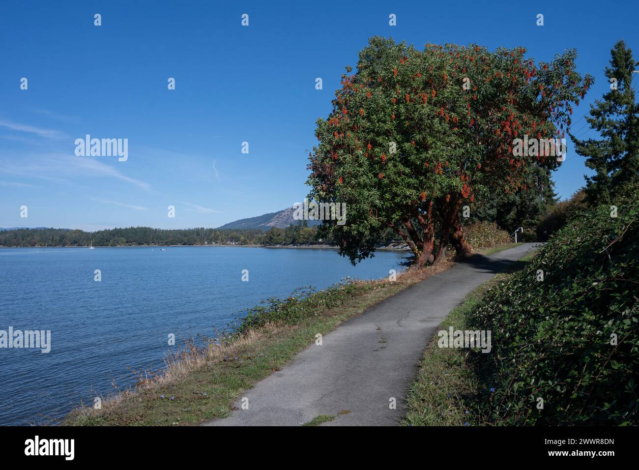 Saanich core hi-res stock photography and images - Alamy