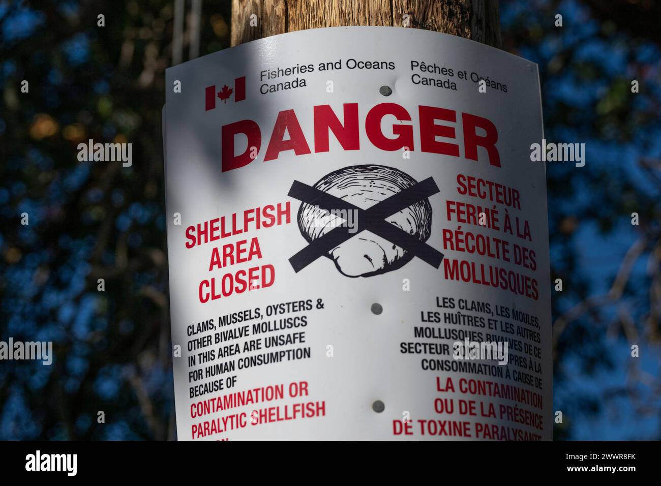 Warning sign posted on a tree, Saanich Core, Saanich Inlet, Vancouver ...