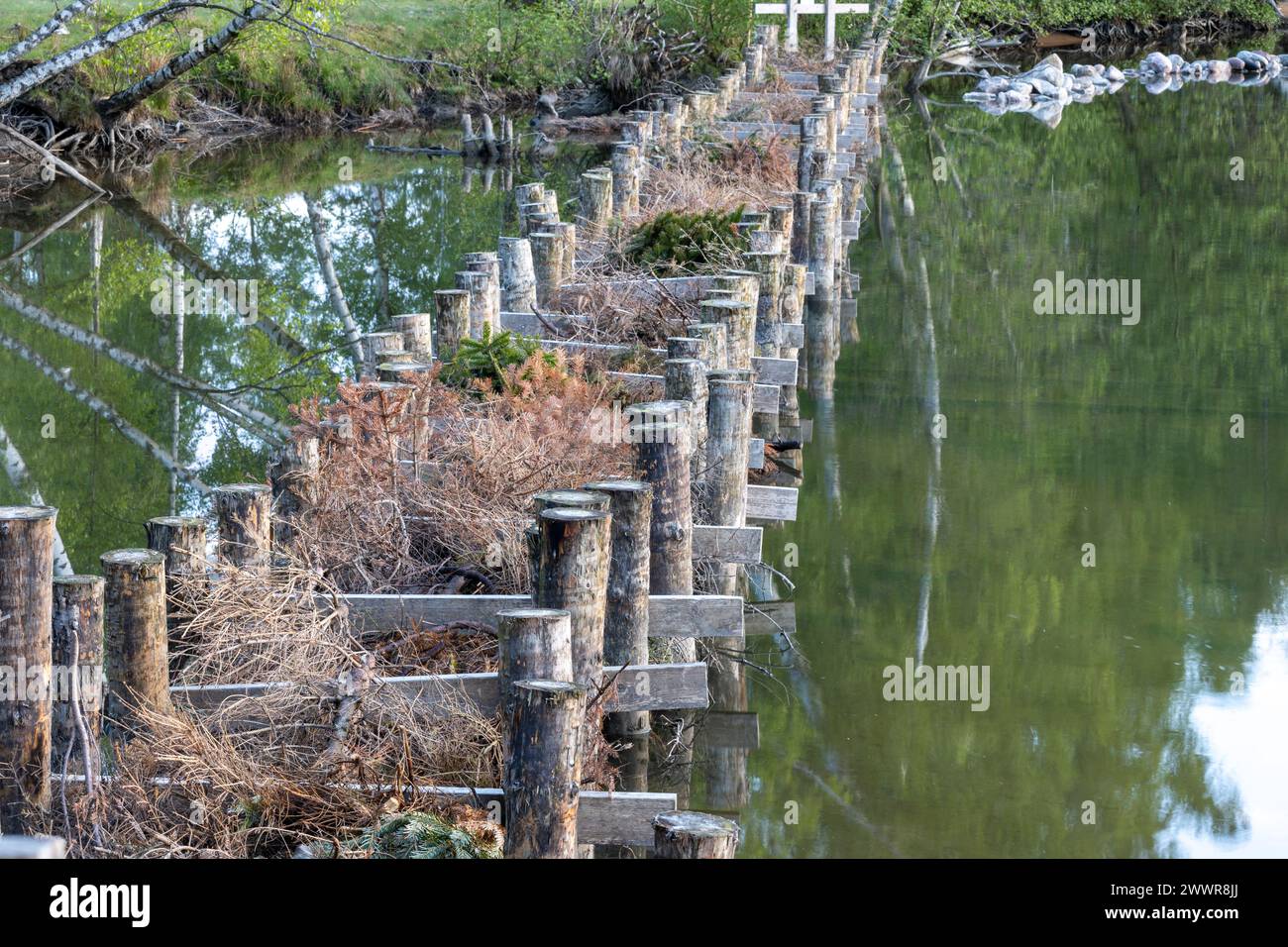 Organic barrier to prevent erosion of river bank. Wooden structure with ...