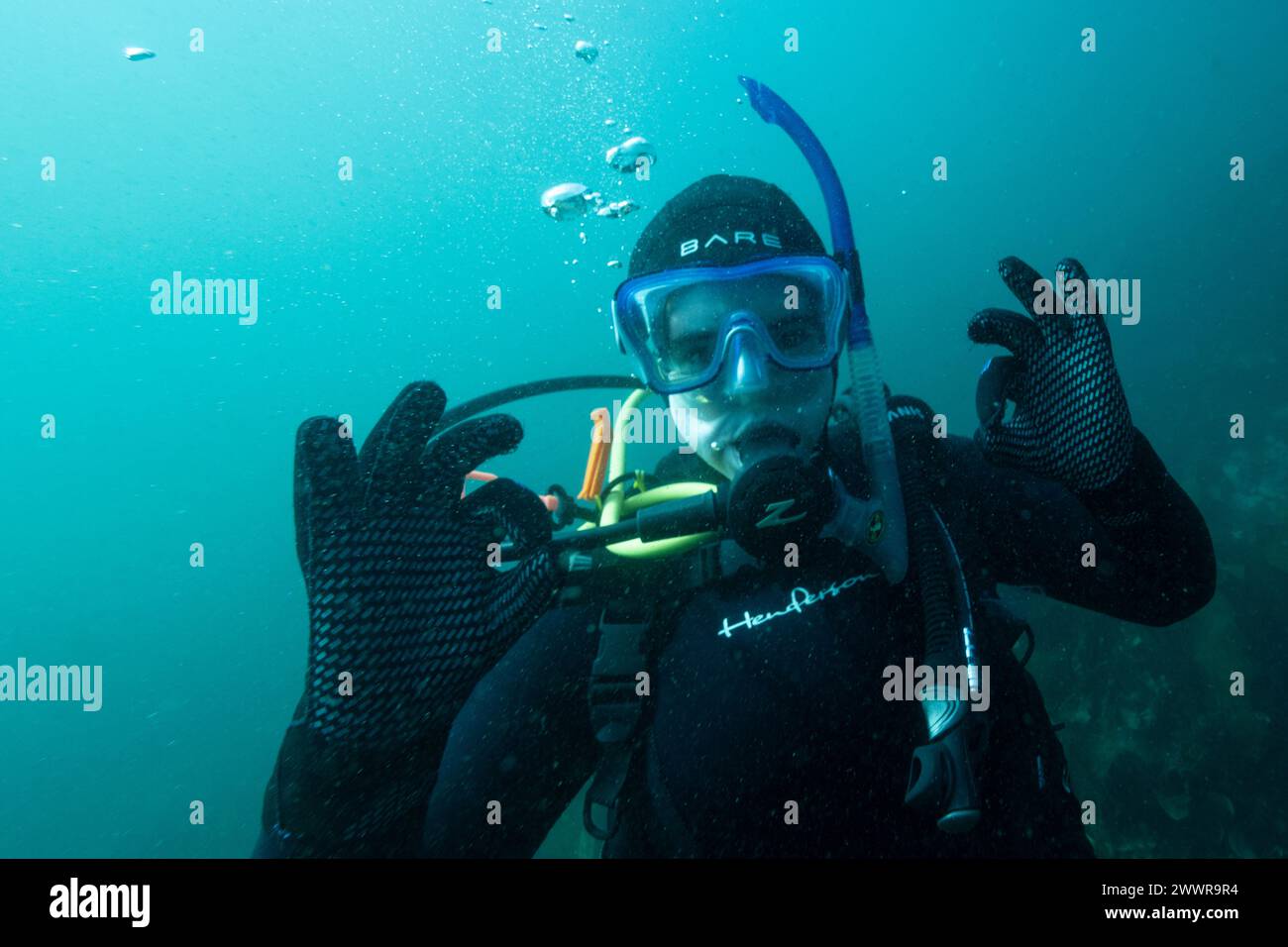 Scuba diver in the ocean at Sooke Bay, Vancouver Island, British ...