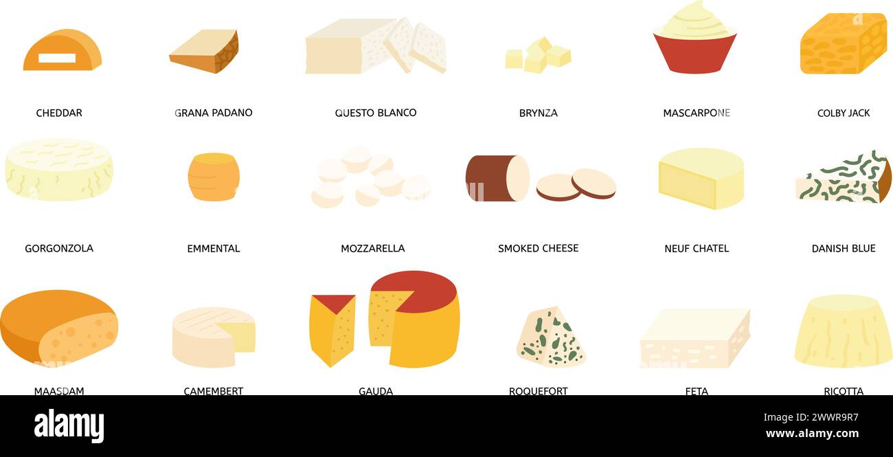 Cheese collection. Different cheeses placard, dairy farm products ...