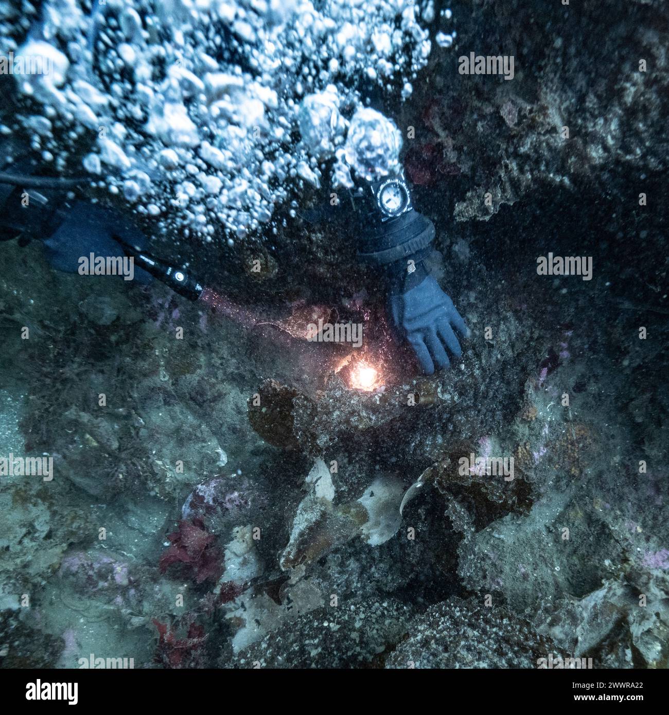 Bubbles floating above a scuba diver in the ocean at Sooke Bay ...