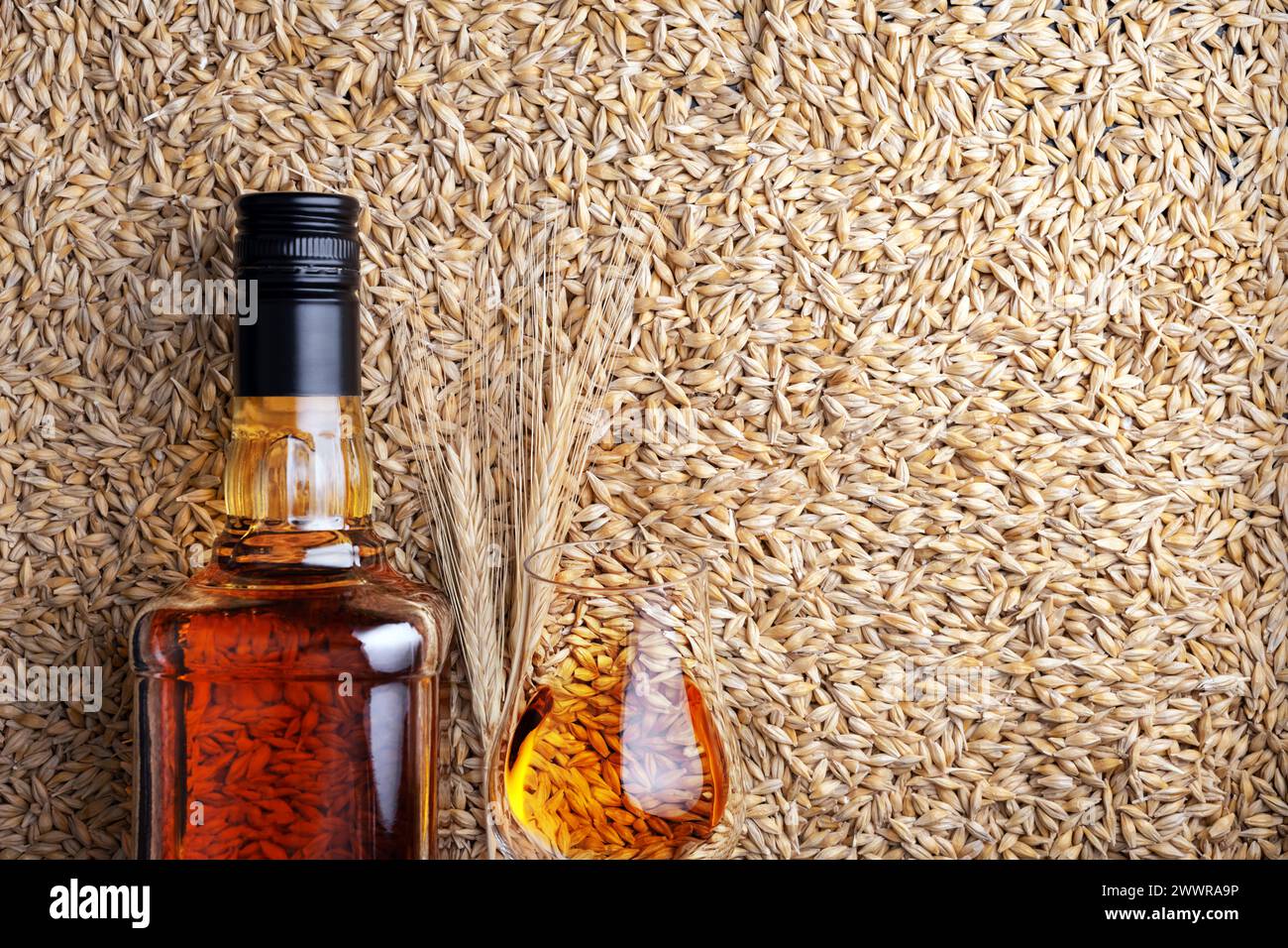 A glass of whiskey with bottle on barley grains as background, top view ...