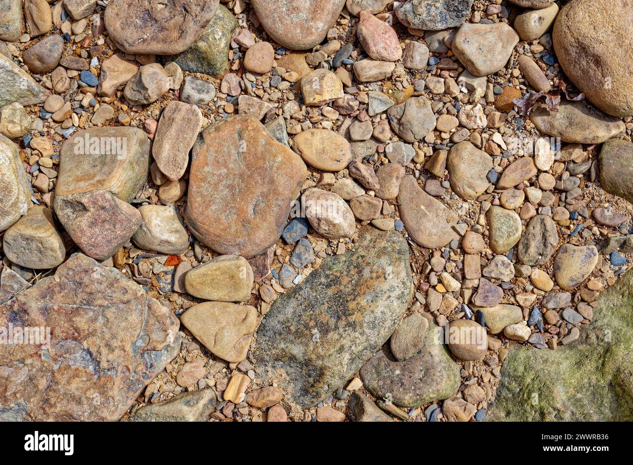 Looking down at a variety and sizes of colorful rocks on the shoreline ...