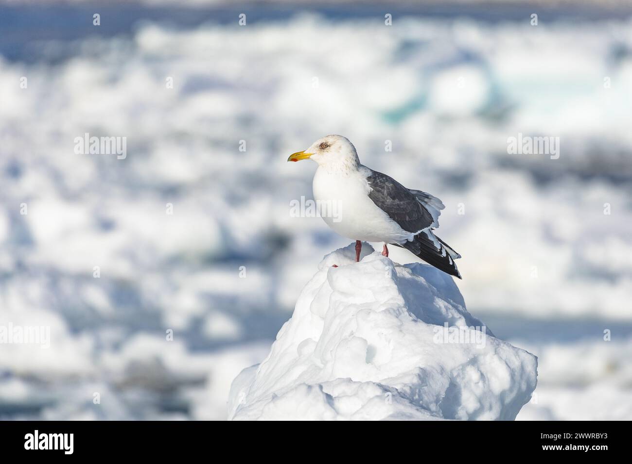 Slaty sea hi-res stock photography and images - Alamy