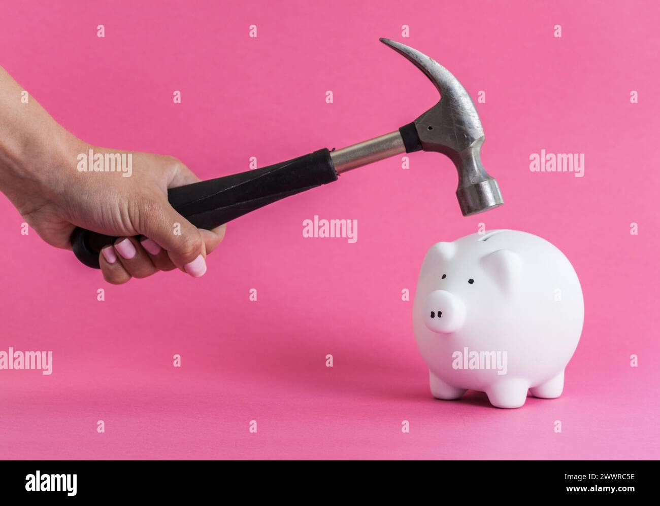 A hand holding a hammer which is raised above a white piggy bank Stock ...