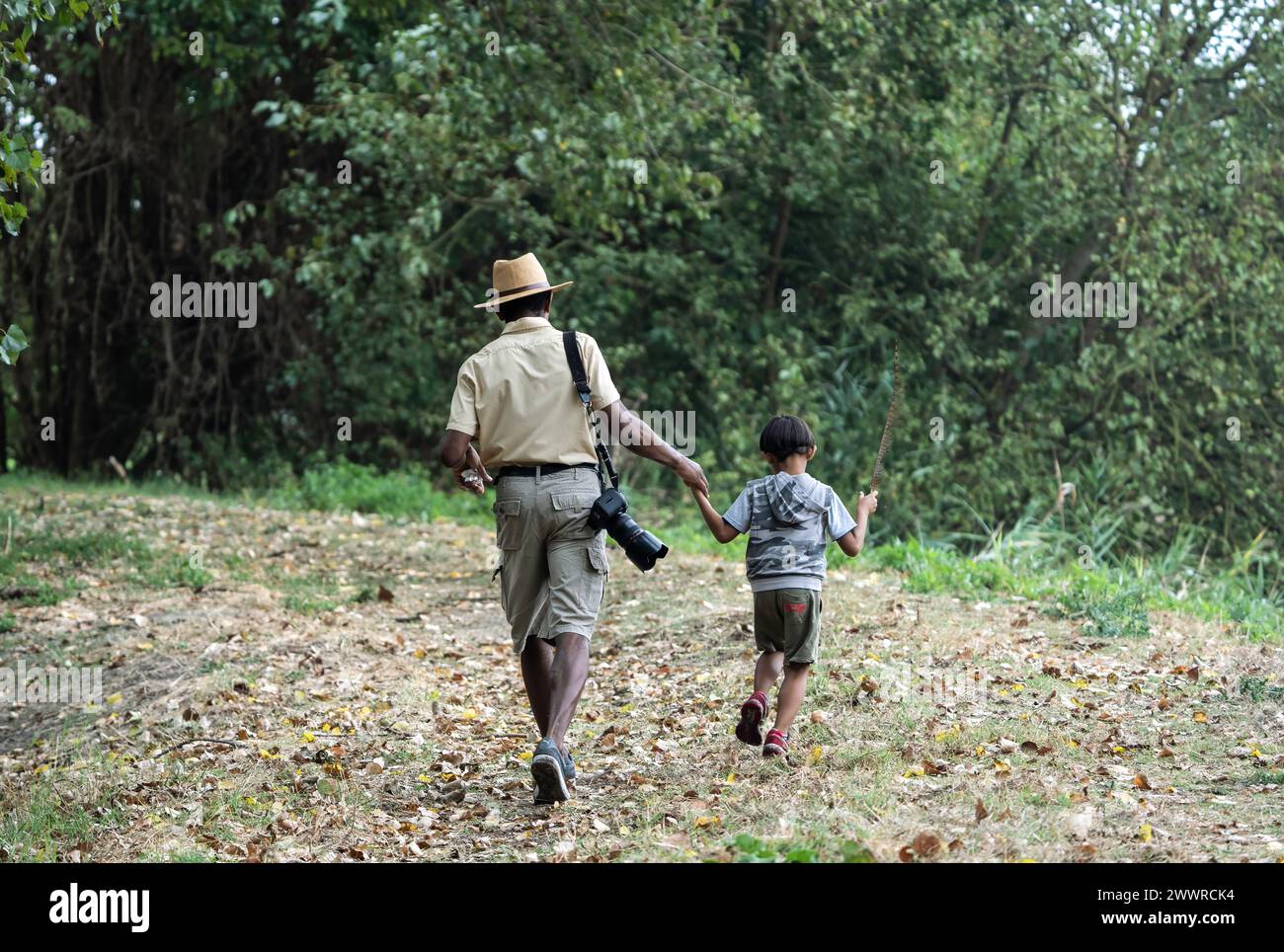 A father’s guidance on the nature trail, their steps intertwine with ...