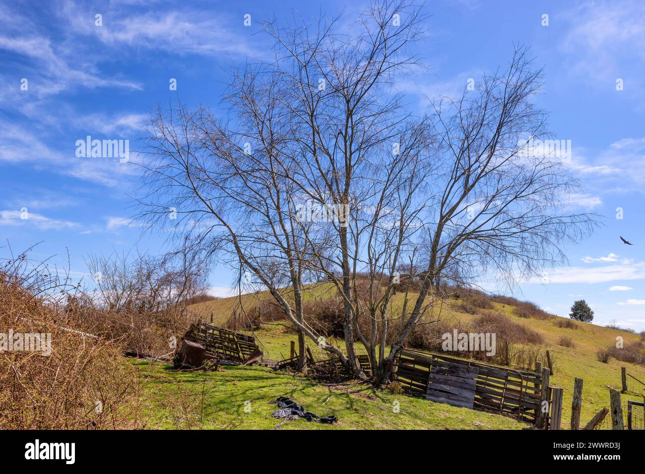 Countryside landscape view of old fence crossing a hillside in rural ...