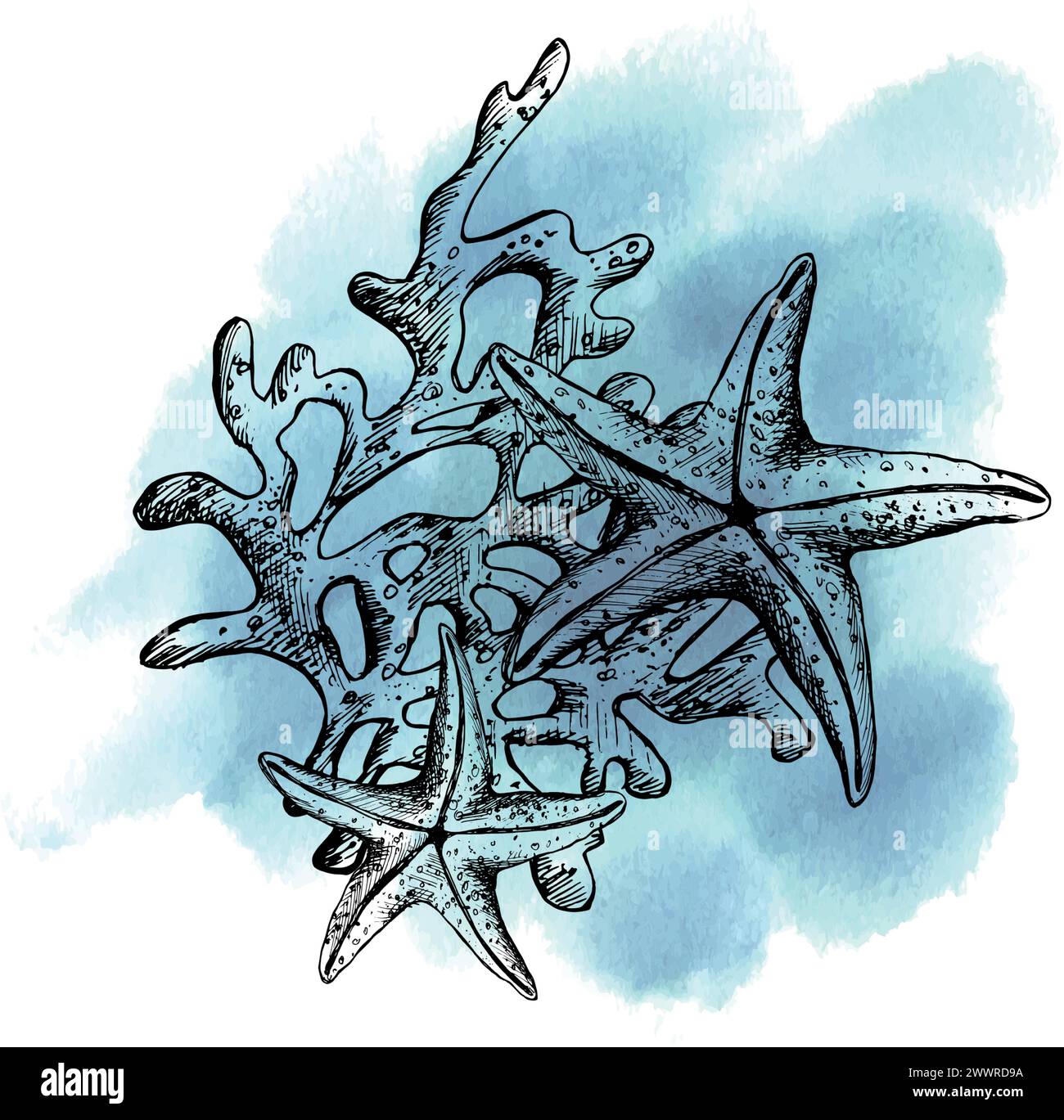 Underwater world clipart with sea animals starfish, shells, coral and ...